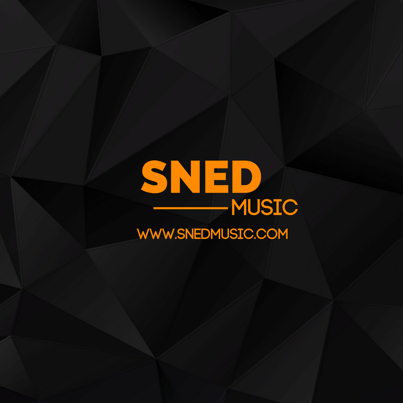 SNED Music | Musical creation, performance, education and exploration